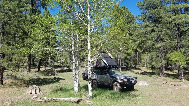 Where to Camp While Overlanding 2022 Overland Expo
