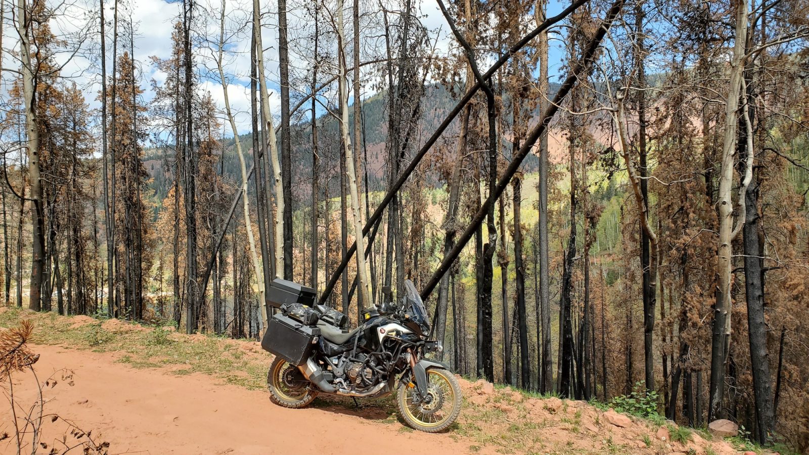 Trips & Trails: Colorado BDR Segment 4 Overland Expo