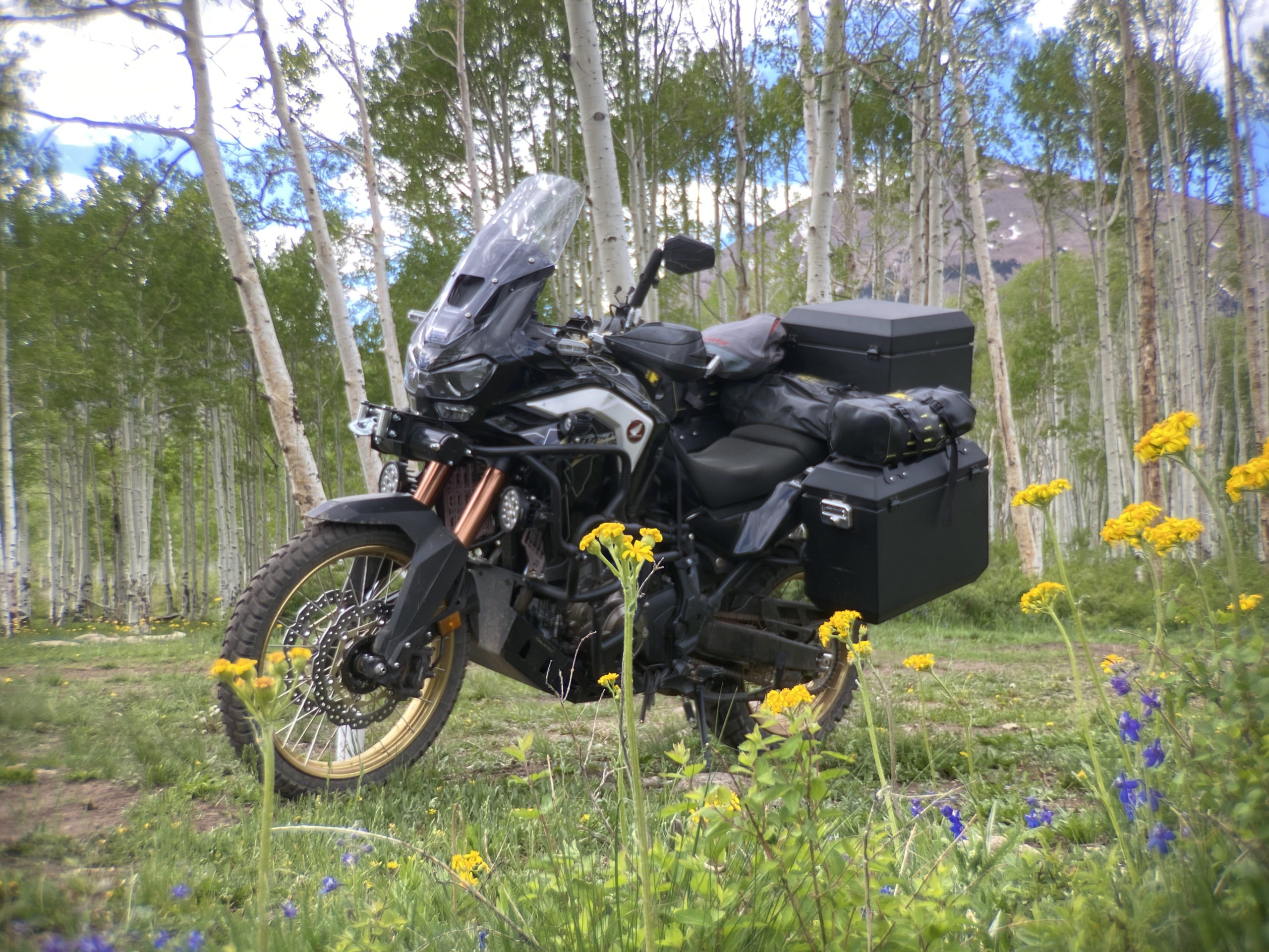 Gear Chronicles: Finding Higher Ground with KonTour Seat
