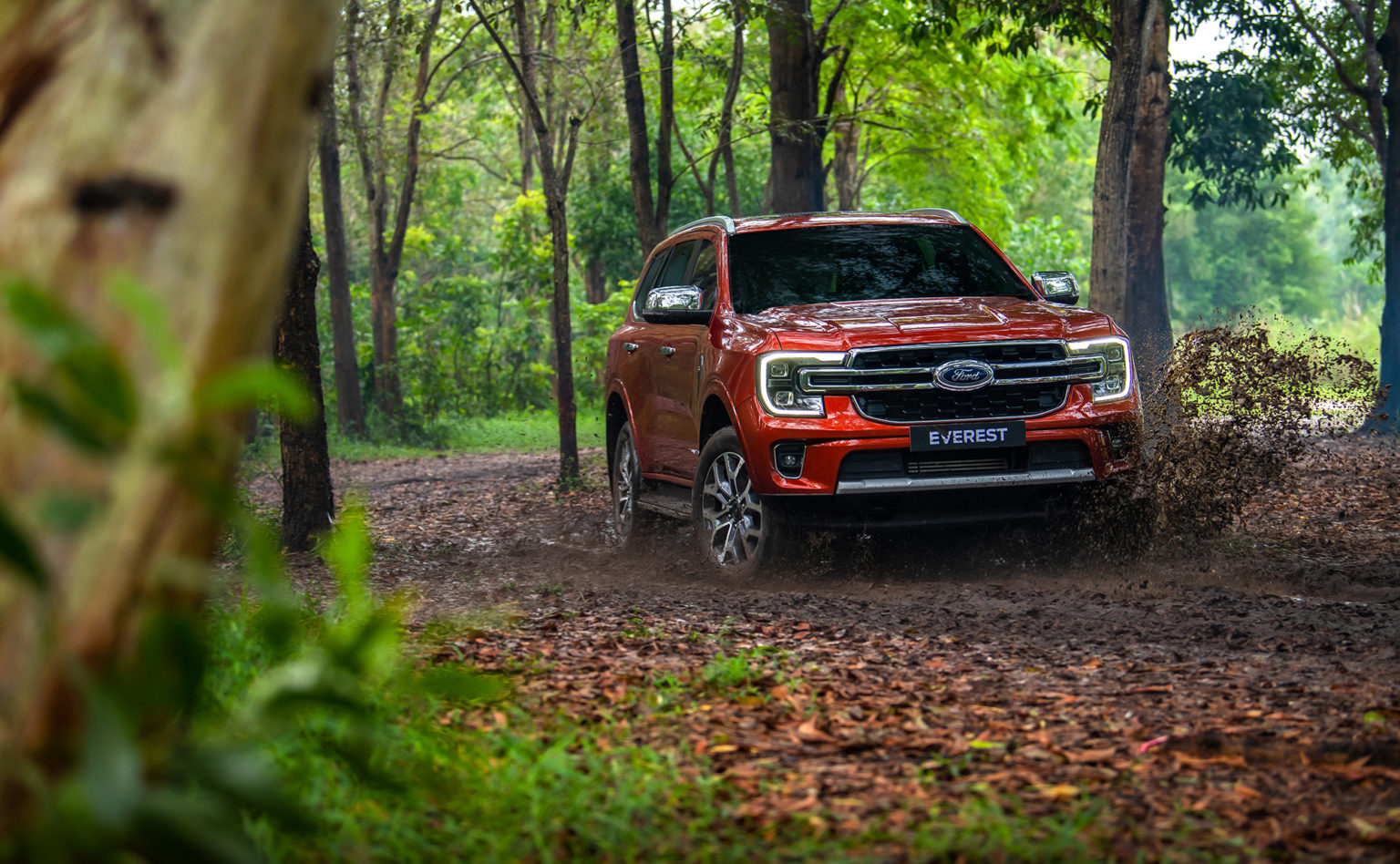 The Ford Everest - The Best New Overlanding Vehicle You Can't Buy ...