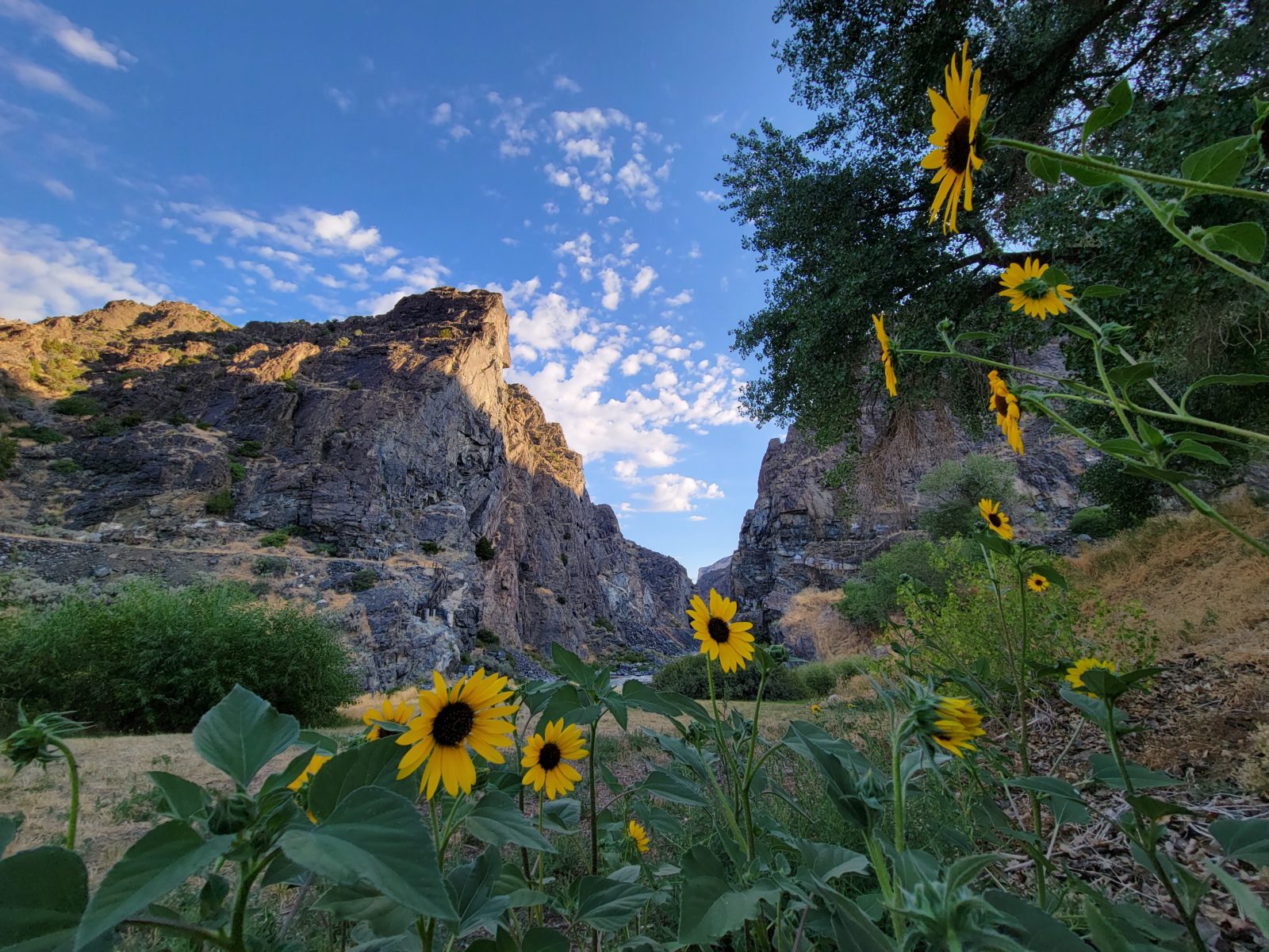 Tales from the Trail: Wyoming BDR Overland Expo