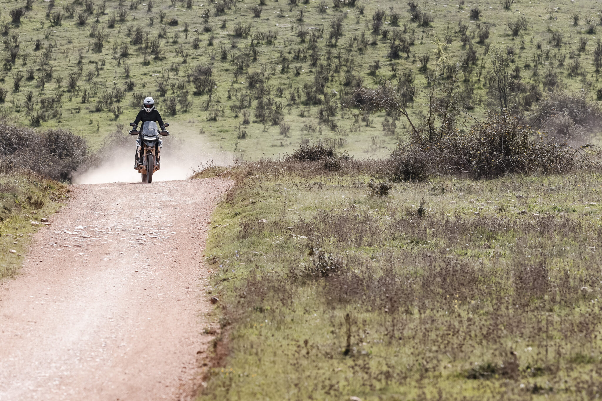 Ultimate Overland Motorcycle: Triumph Tiger 1200 Rally Pro Overland Expo