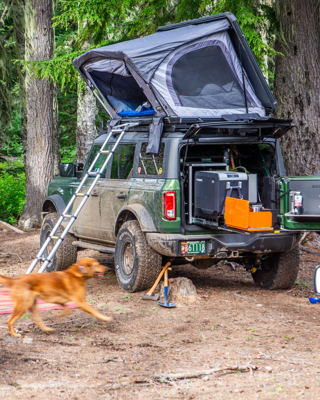 REVIEW: Dometic CFX3 45 Overland Fridge Overland Expo