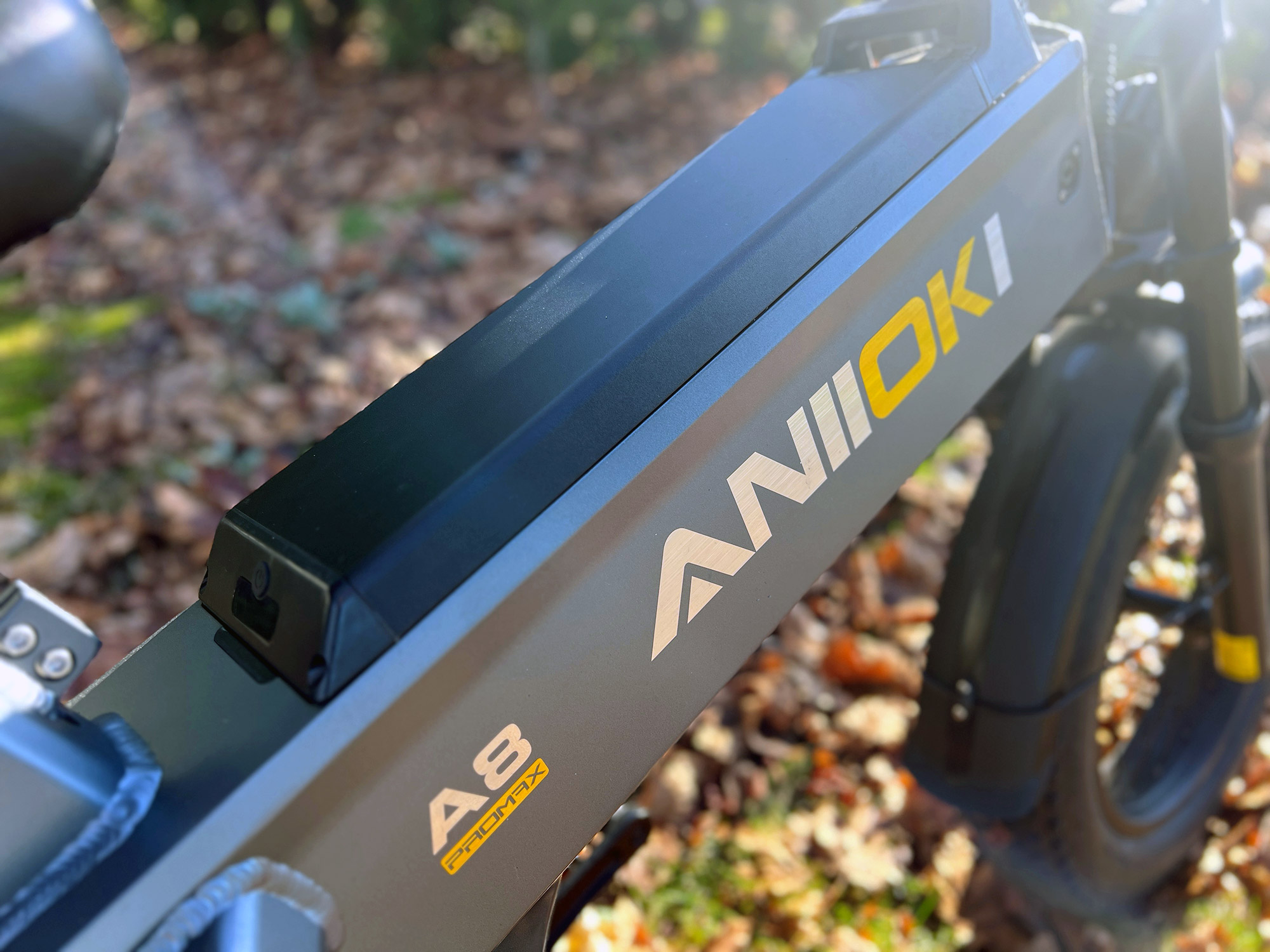 Review: Aniioki A8 Pro Max E-Bike Overland Expo