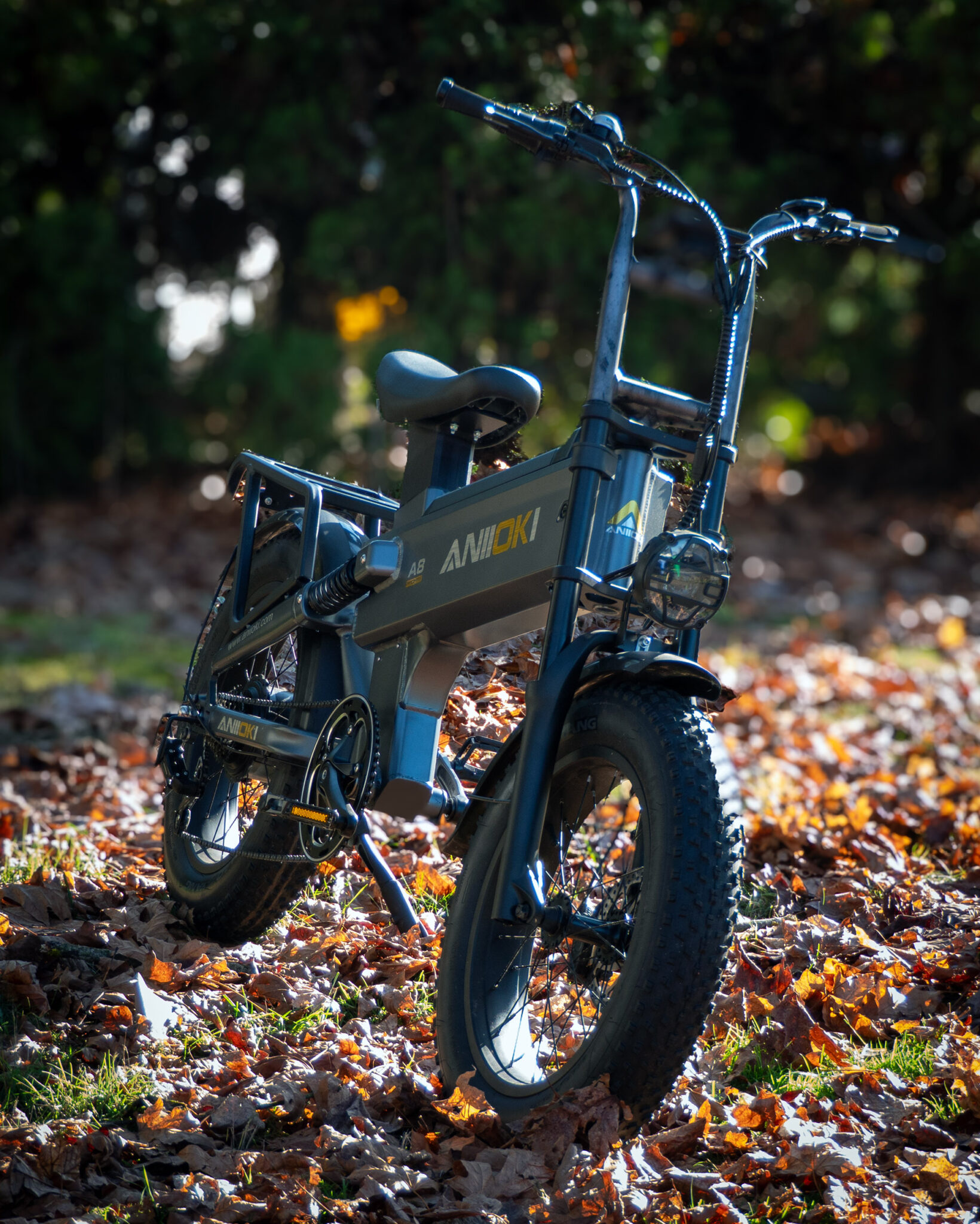 Review: Aniioki A8 Pro Max E-Bike Overland Expo