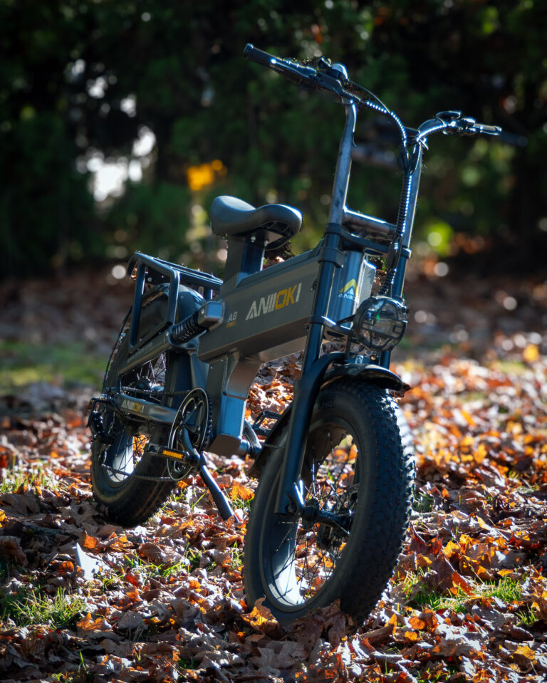 Review: Aniioki A8 Pro Max E-Bike Overland Expo
