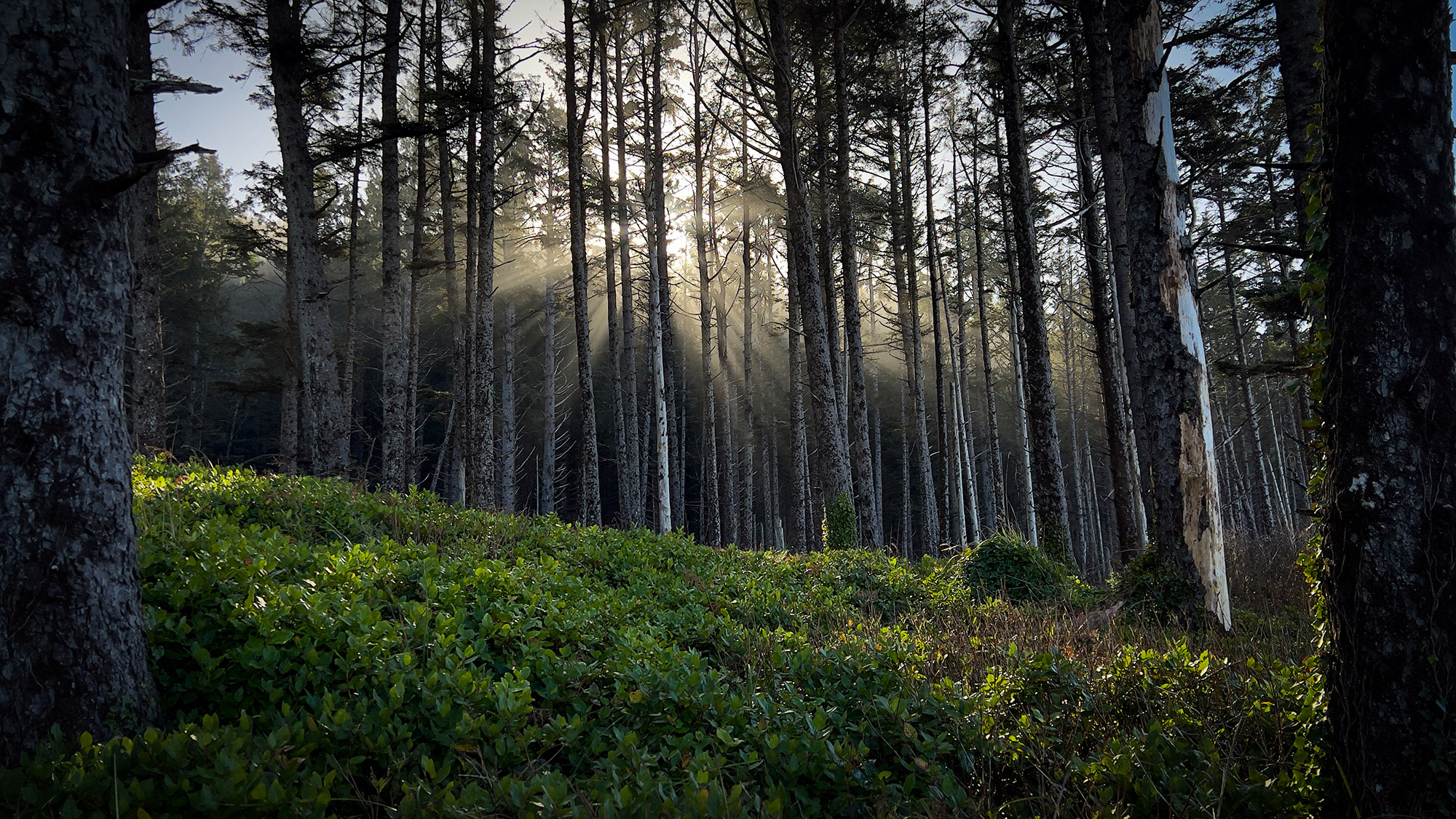 Review: Super Pacific X1 Rack And RTT Overland Expo